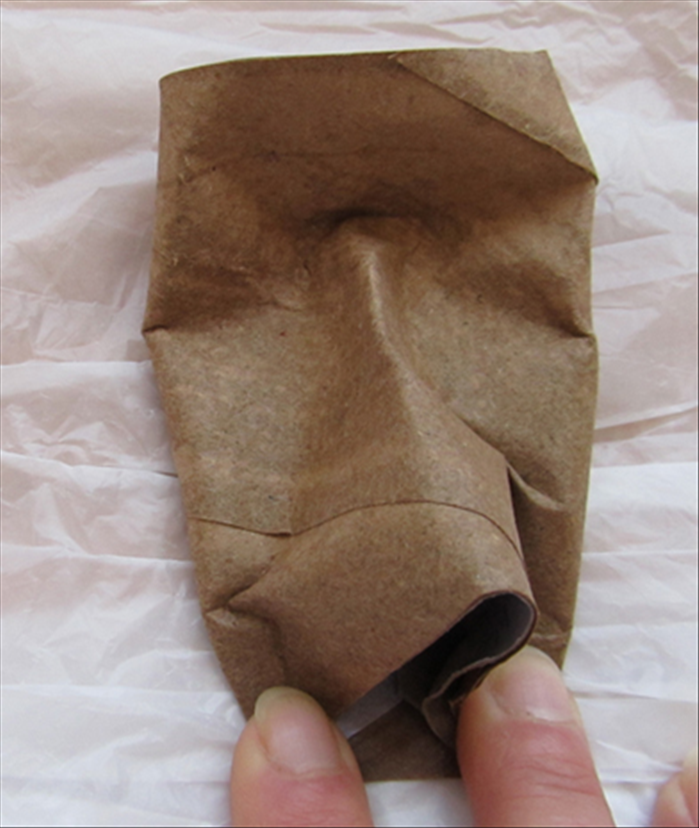 How To Make Faces While In The Toilet With The Toilet Paper Rolls