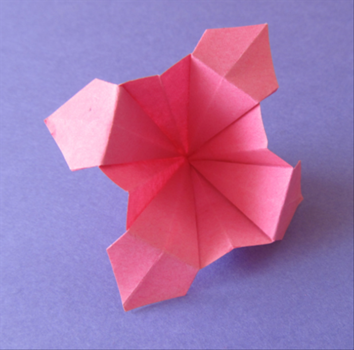 How to make an origami eight petal bell flower