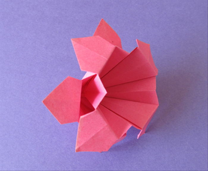 How to make an origami eight petal bell flower